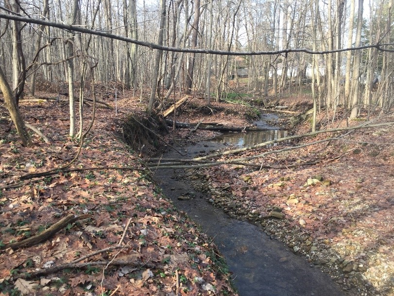 Spring Brook Stream Restoration - CRWP