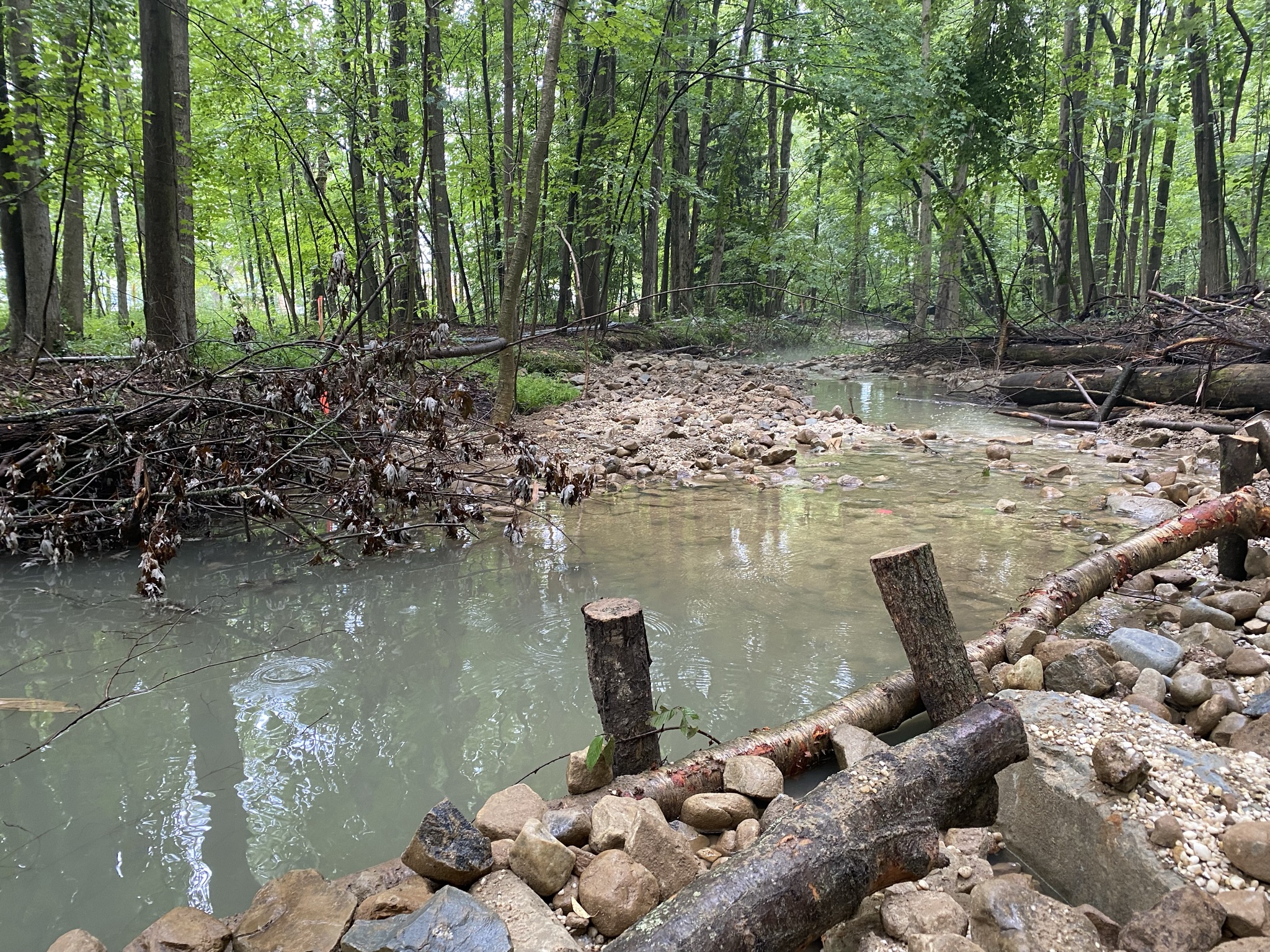 Spring Brook Stream Restoration - CRWP